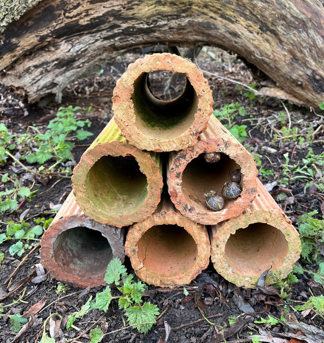 Set of 6 Vintage Terracotta Clay Pipes - Etsy