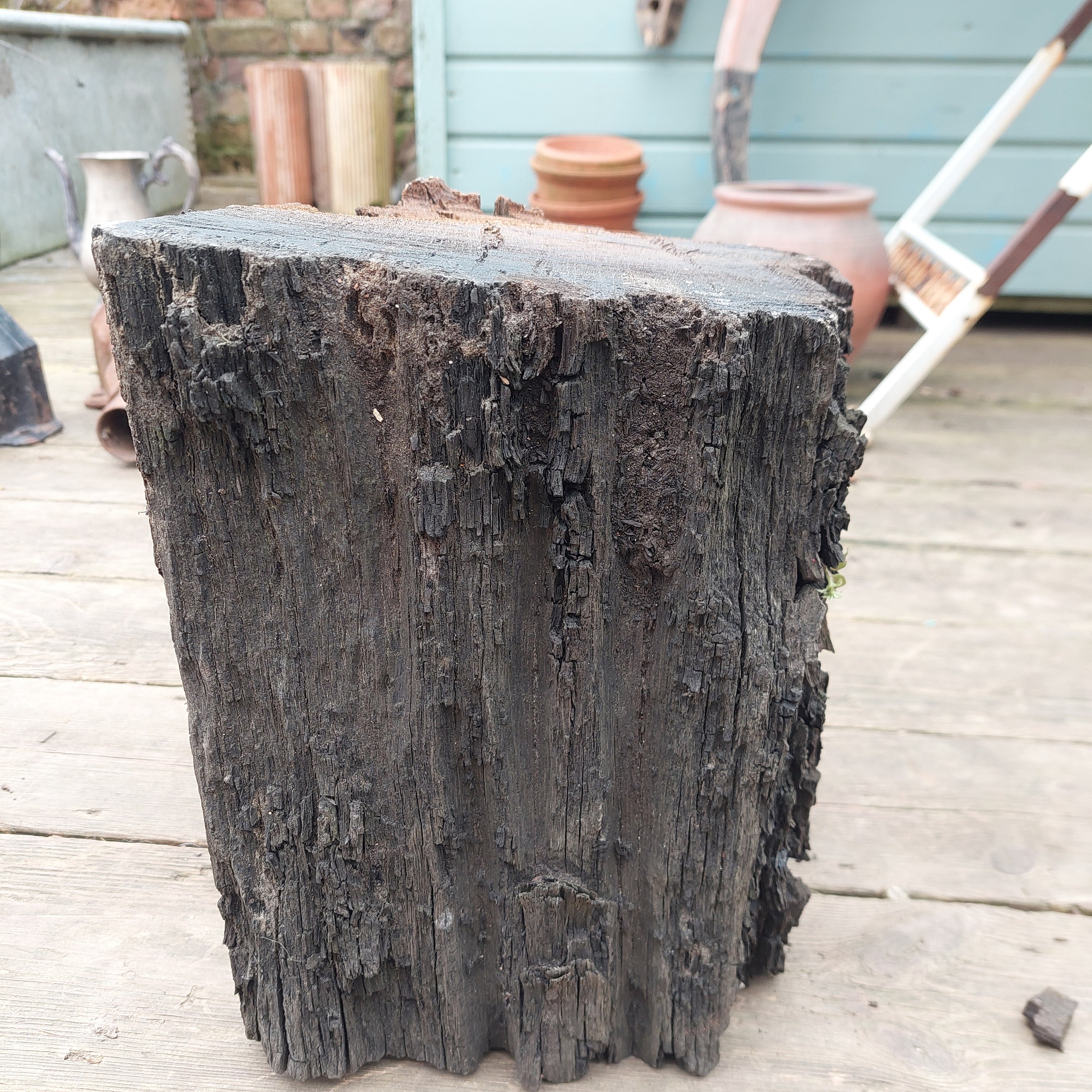 Genuine Fenland Bog Oak /black Oak - Etsy UK