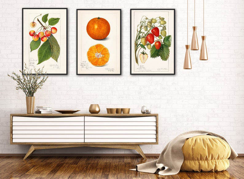 Vintage Fruit Art Prints: Set of 3 - Etsy