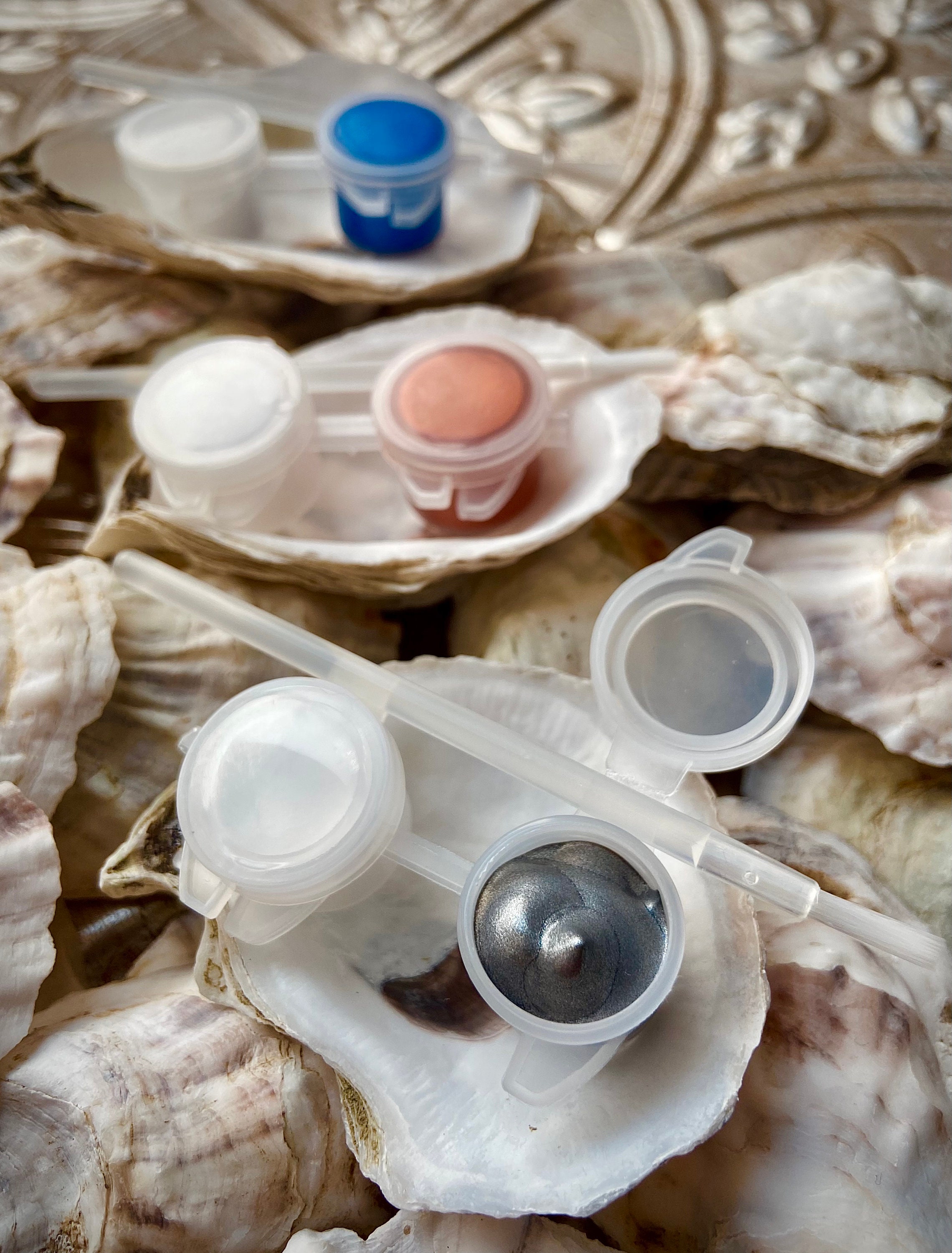 6-shell Natural Look - Etsy