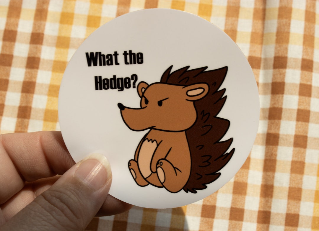 Cute Animal Hedgehog Chibi Grumpy Pun Decal for Journals Laptops Water Bottles - Etsy