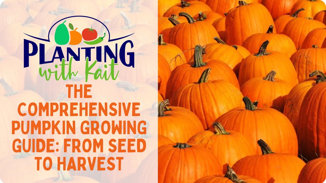 The Comprehensive Pumpkin Growing Guide: From Seed to Harvest - Etsy