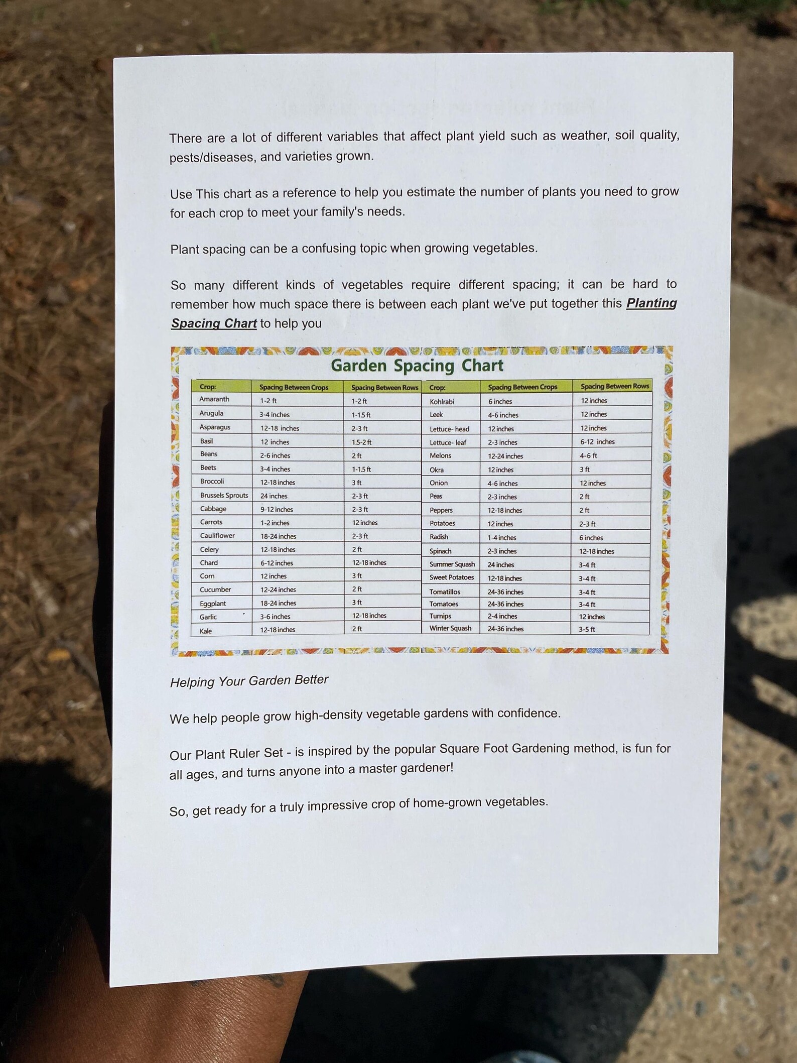 Wooden Garden Ruler for Seed Planting With Seed Diddler Plus Garden ...
