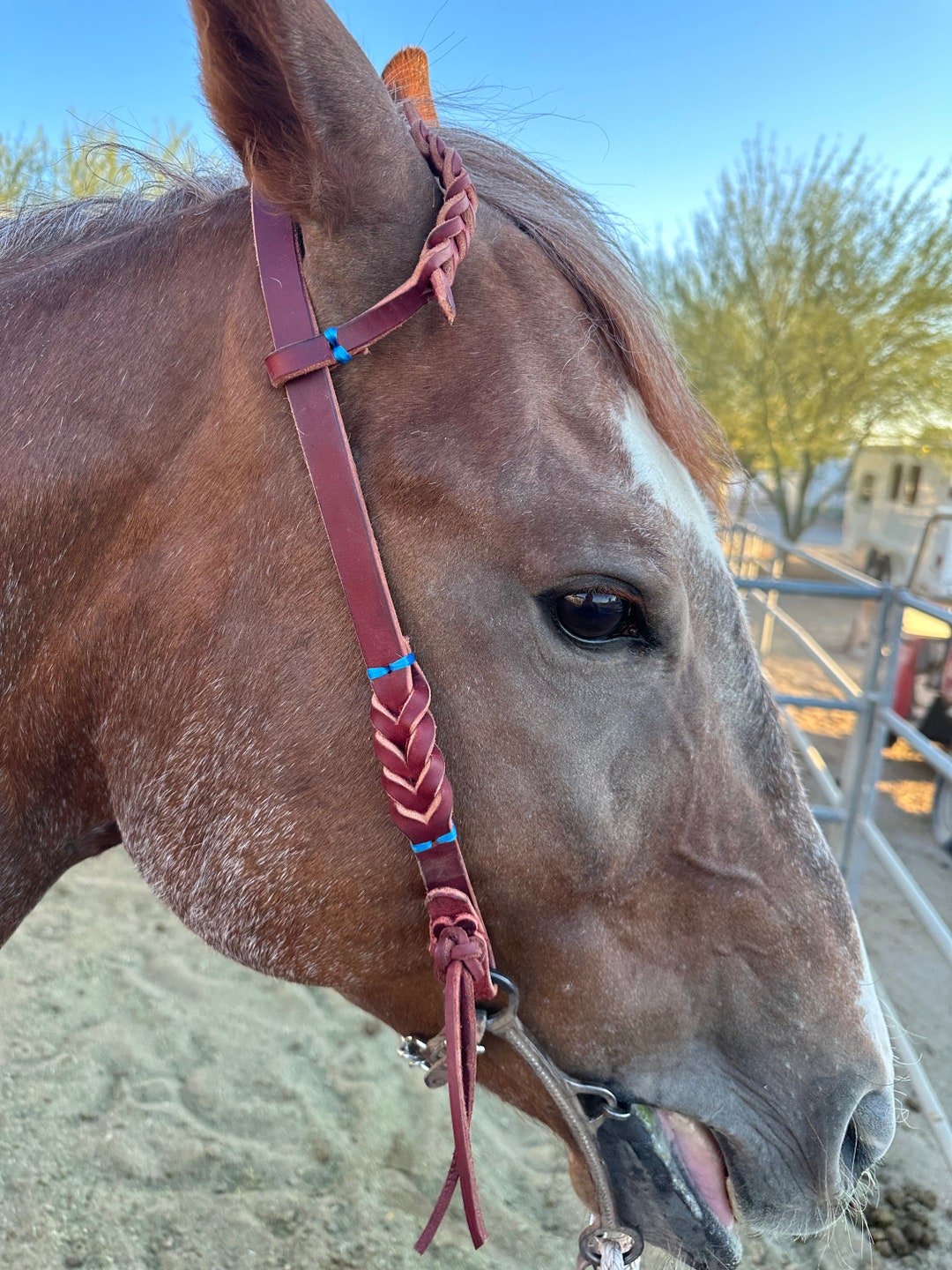 Blood Knot Latigo Headstall - Etsy