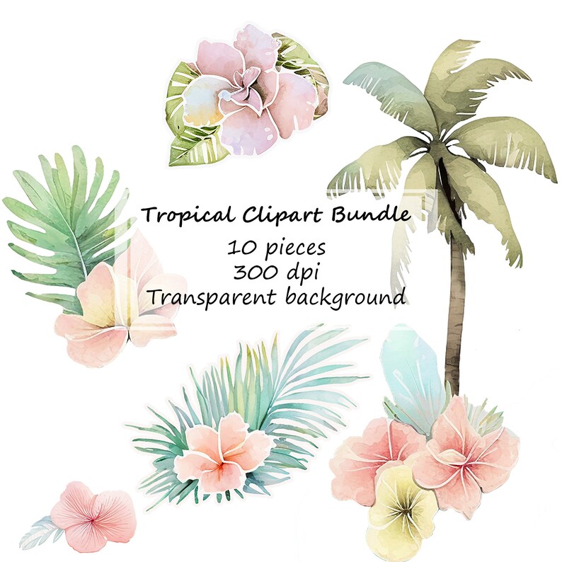 10 Watercolor Tropical Clipart Png With Transparent Background - Etsy