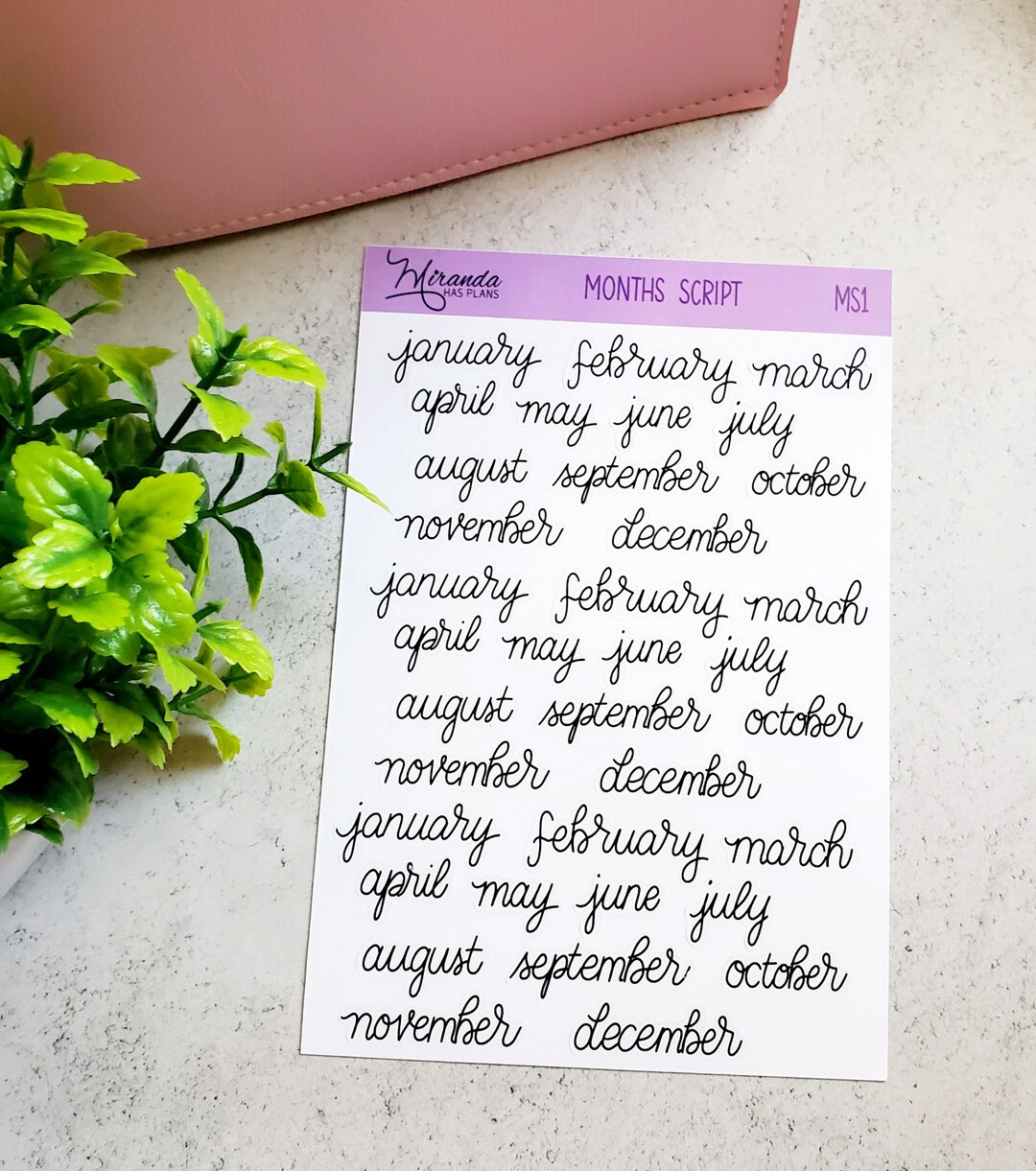 Chic and Functional: Handwritten Script Planner Stickers for Each Month ...