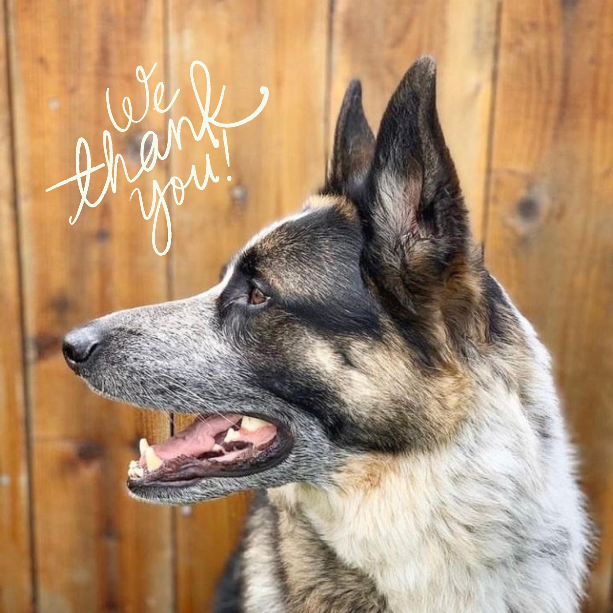 3D Printed Custom Mini Book Magnets - Etsy