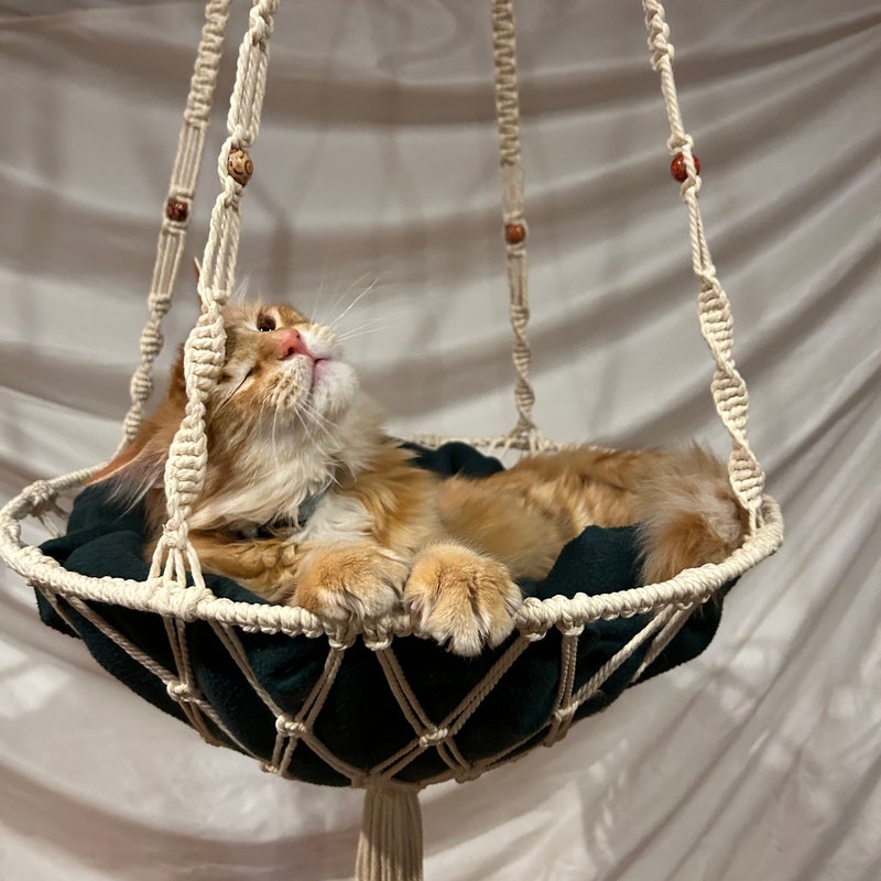 Macrame Cat Hammock - Etsy