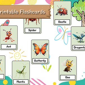 Montessori Insects Flashcards - 8 Printable Digital Cards, Kids ...