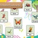 Montessori Insects Flashcards - 8 Printable Digital Cards, Kids ...