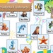 Montessori Aquatic Animal Flashcards - 16 Printable Digital Cards, Kids ...