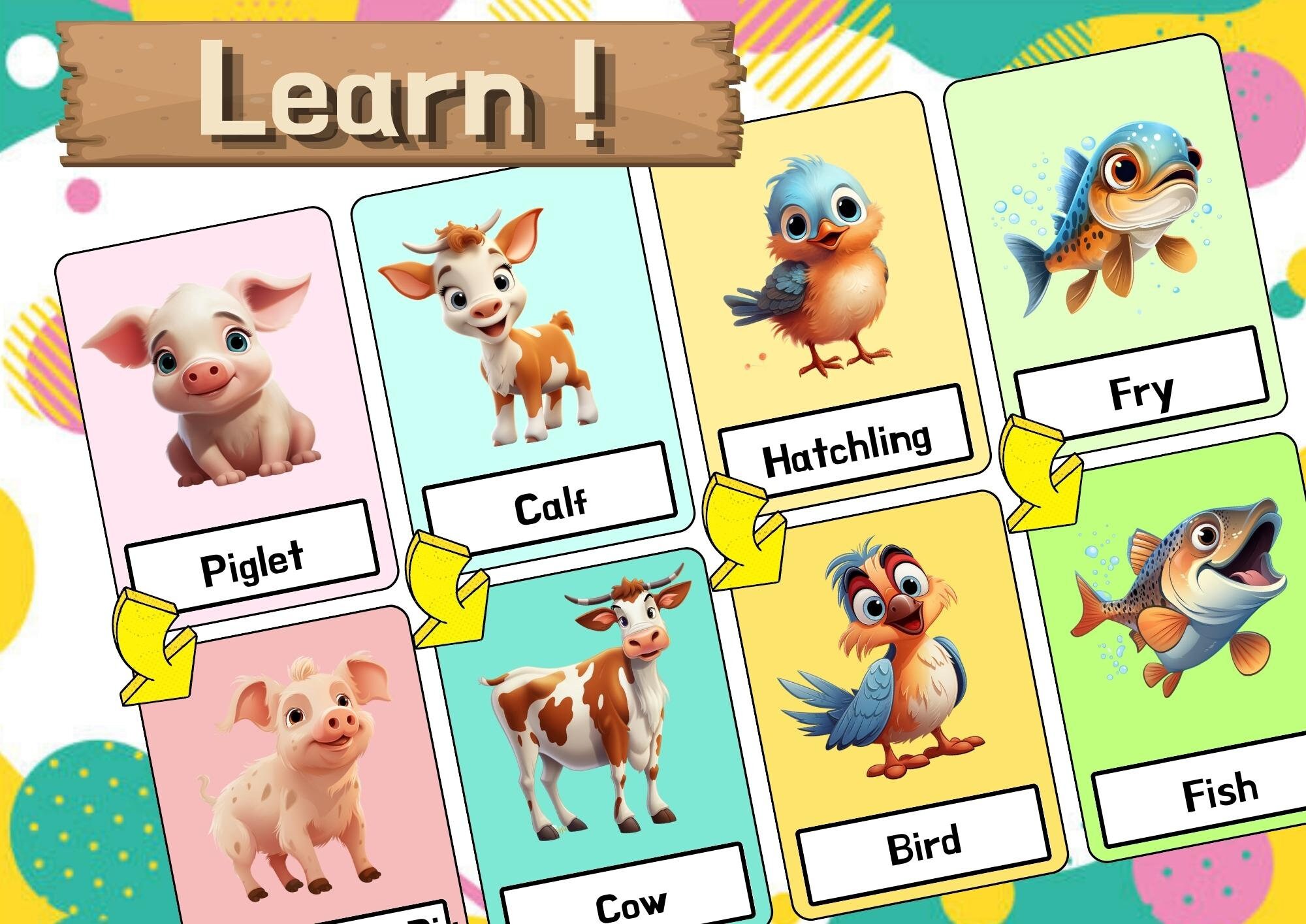 Montessori Baby Animal Flashcards - 16 Printable Digital Cards, Kids ...