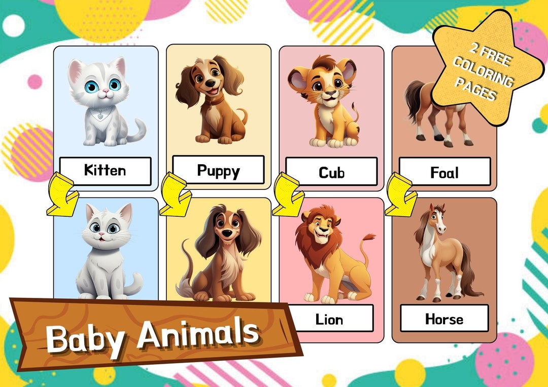 Montessori Baby Animal Flashcards - 16 Printable Digital Cards, Kids ...