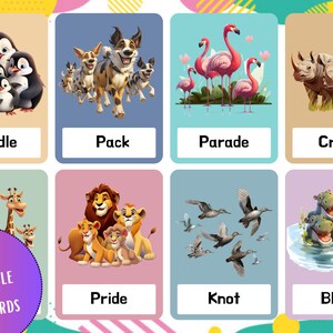 16 Animal Group Flashcards | Digital Flashcards for Kids - Etsy