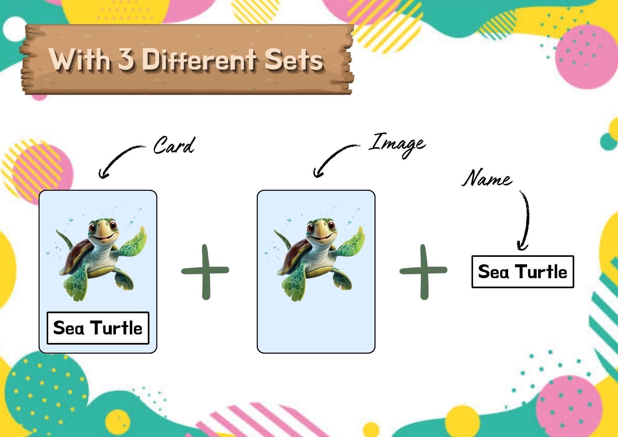 Montessori Aquatic Animal Flashcards 16 Printable Digital Cards, Kids ...