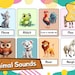 Montessori Animal Sounds Flashcards - 16 Printable Digital Cards, Kids ...