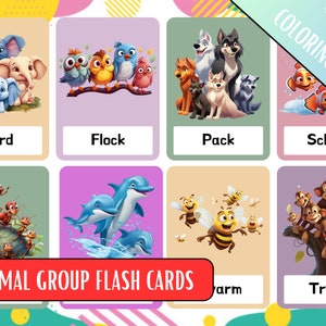 16 Animal Group Flashcards | Digital Flashcards for Kids - Etsy
