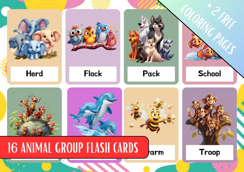 16 Animal Group Flashcards | Digital Flashcards for Kids - Etsy
