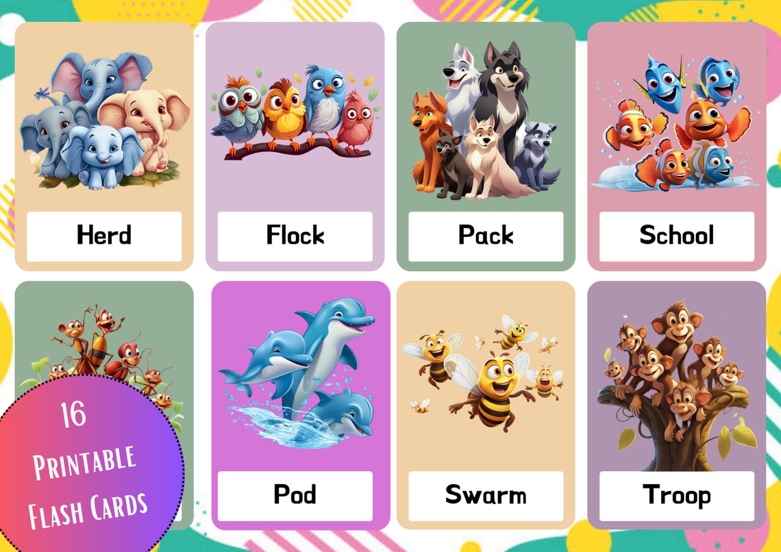 16 Animal Group Flashcards | Digital Flashcards for Kids - Etsy