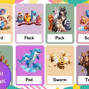 16 Animal Group Flashcards | Digital Flashcards for Kids - Etsy