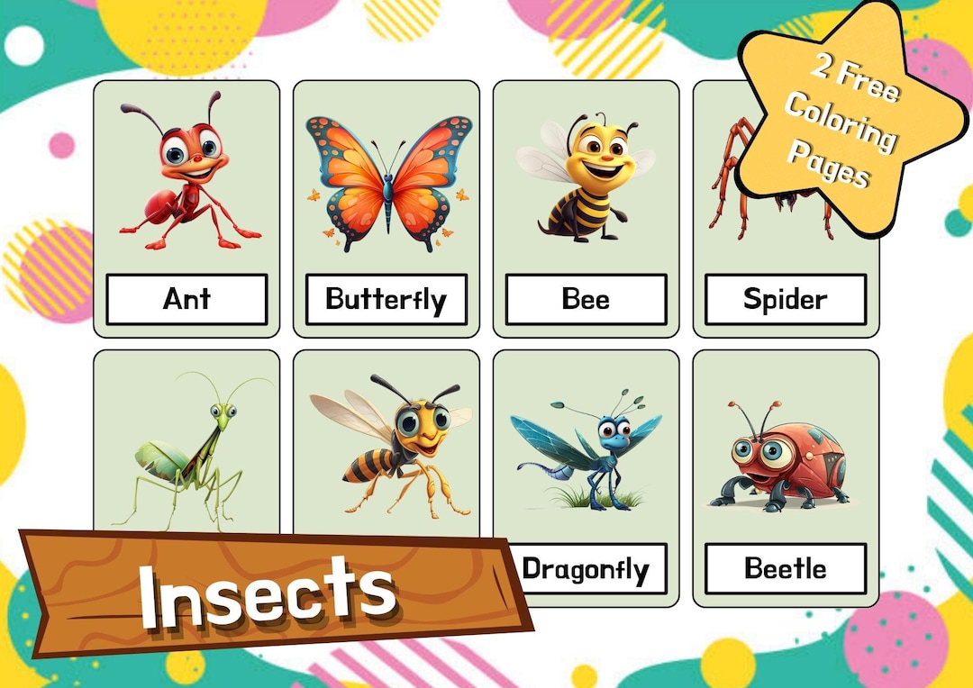 Montessori Insects Flashcards - 8 Printable Digital Cards, Kids ...