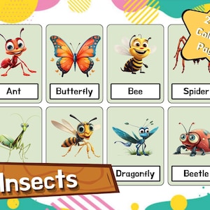 Montessori Insects Flashcards - 8 Printable Digital Cards, Kids ...