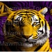 Purple and Gold With Tiger - Etsy