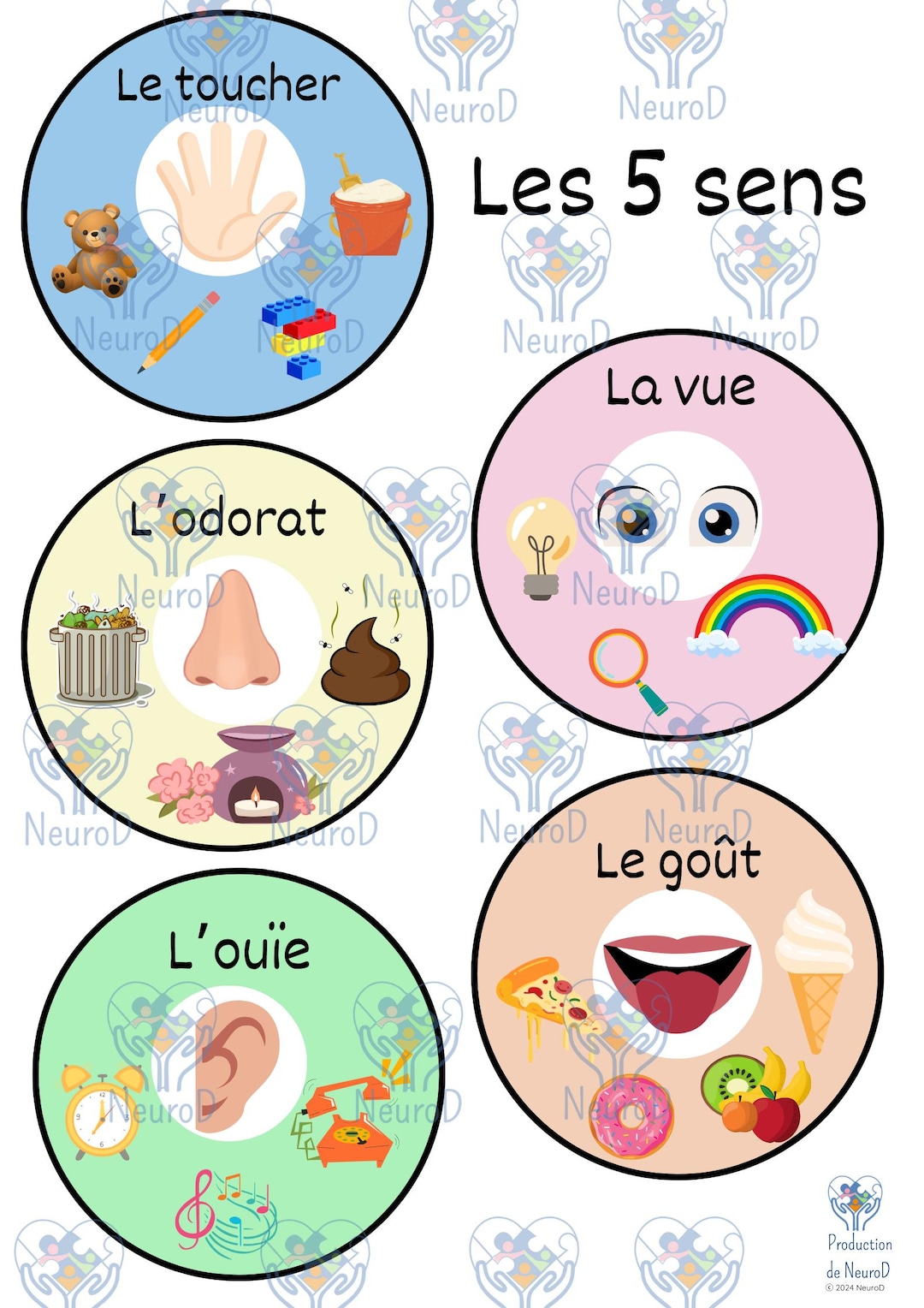Educational Poster of the 5 Senses (digital Version) - Etsy UK