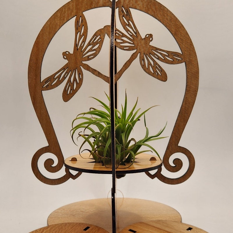 Airplant Stand - Etsy