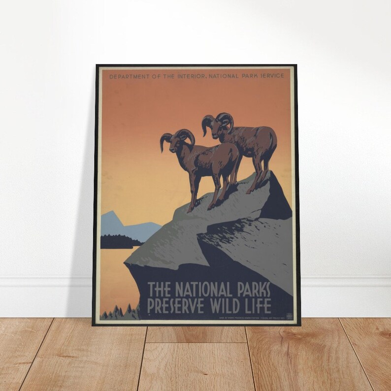 National Parks Preserve Wildlife Sheep Animals America USA Vintage ...