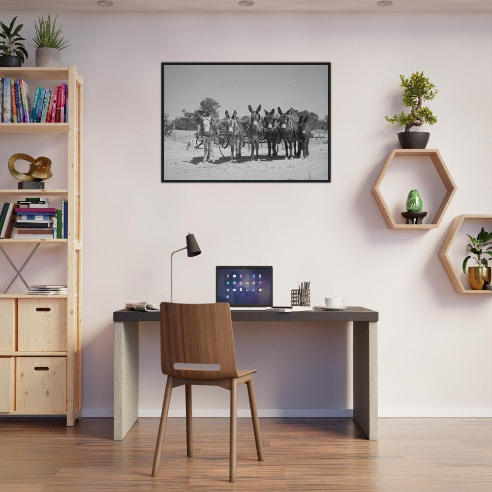 Team of Burros New Mexico Vintage Black and White Photo Premium Matte ...
