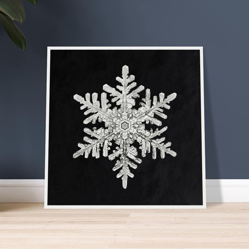 Snowflake Vintage 19th Century Photograph Photo Reproduction Art ...