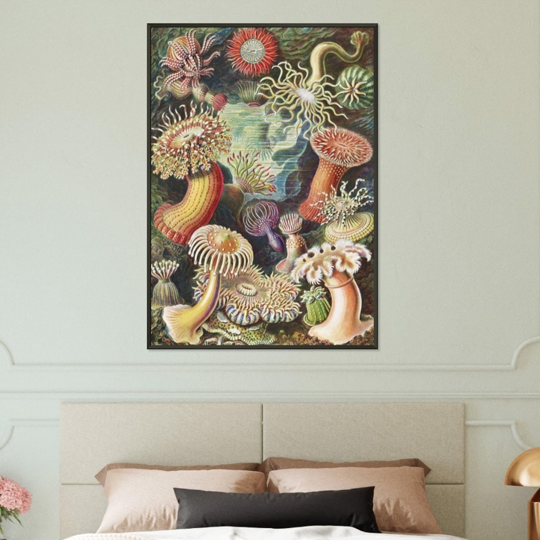 Sea Anemones Ocean Marine Life Vintage Art Reproduction Premium Matte ...