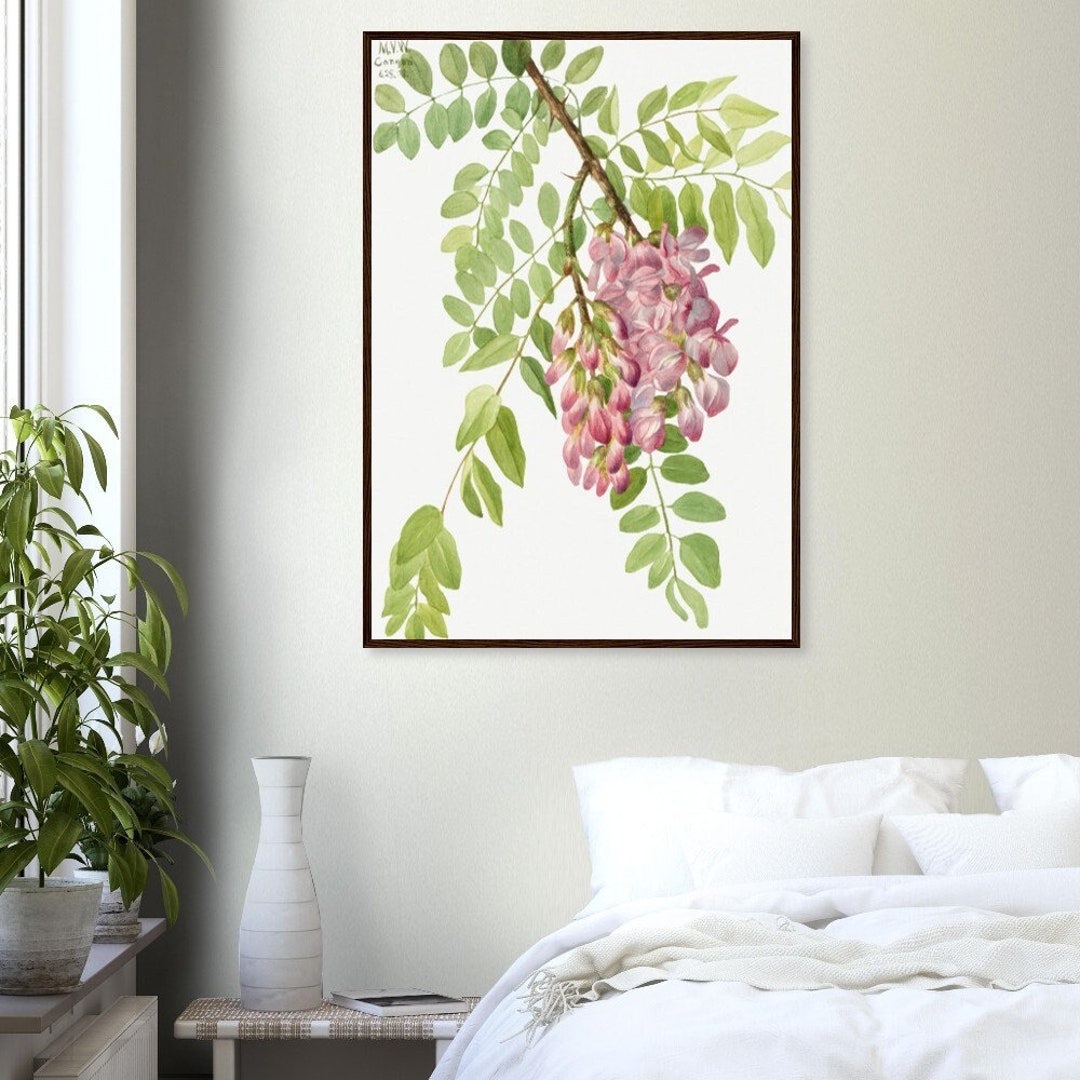 NEW MEXICAN LOCUST Pink Flower Tree Branch Vintage Botanical Art ...