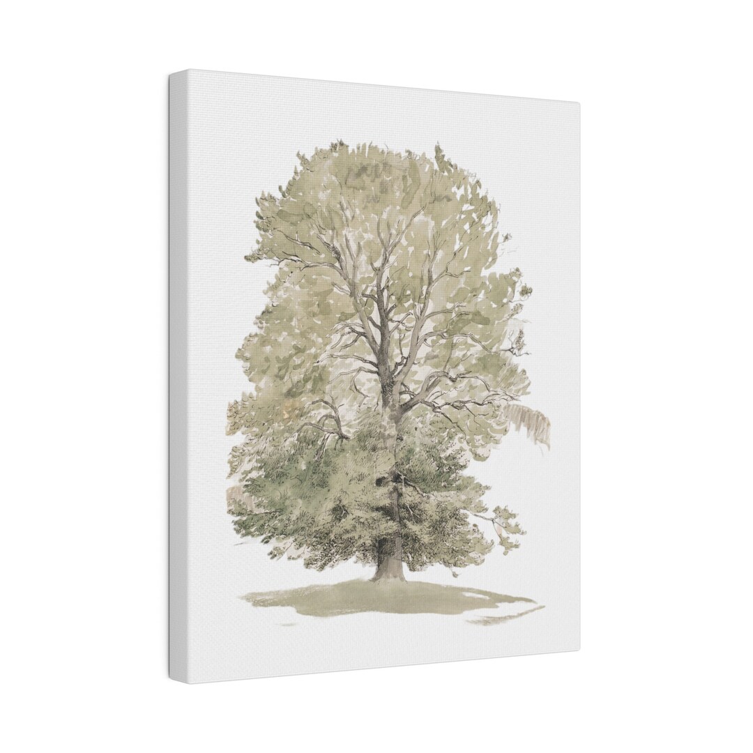 Large Beech Tree Vintage Denmark Landscape Art Stretched Matte Canvas 0 ...