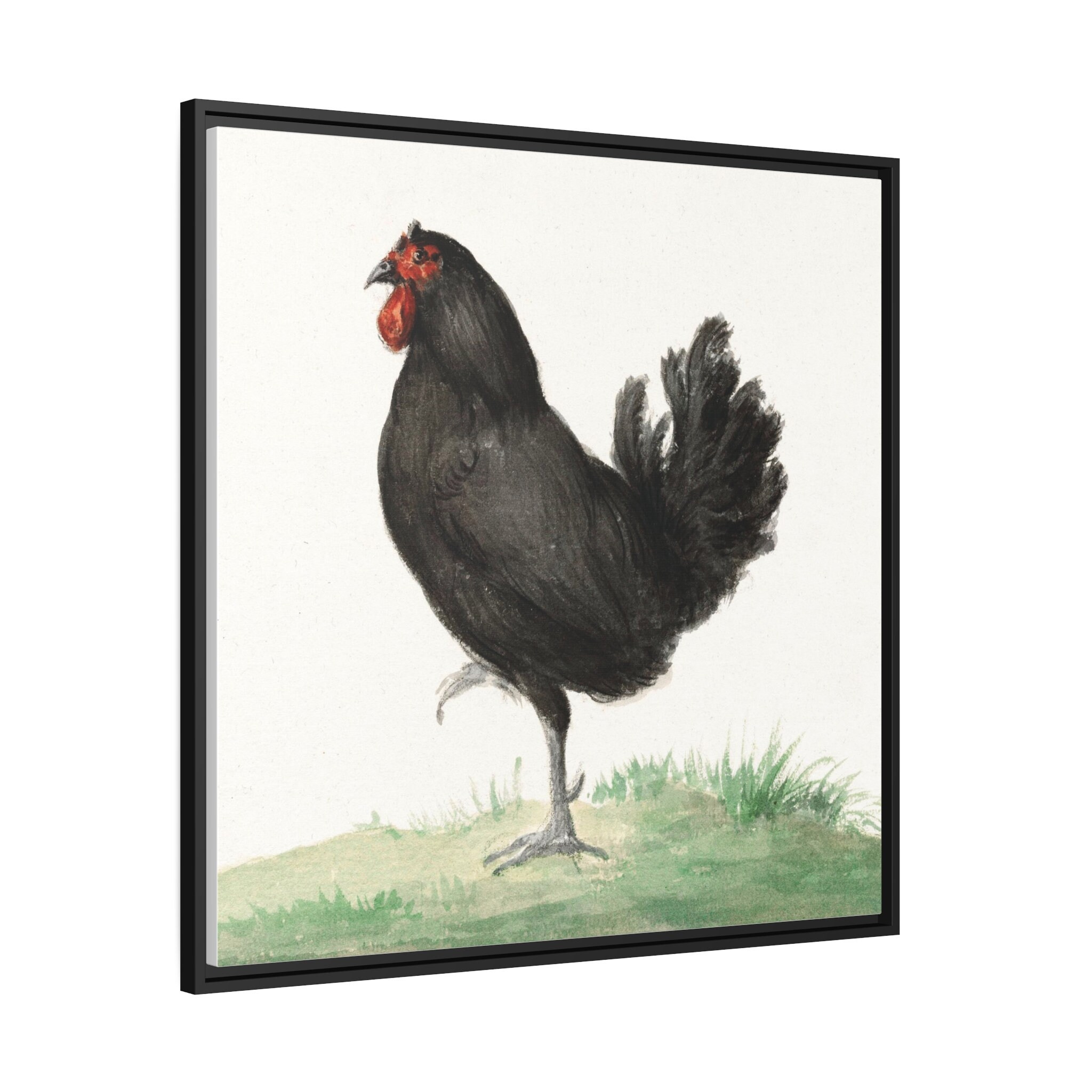 Standing Black Chicken Hen Art Print Matte Canvas Square Wood Eco Black ...