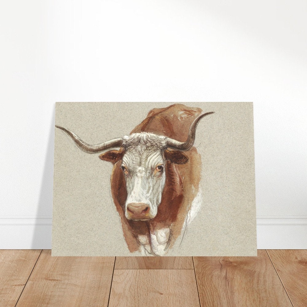 Head of a Cow Ox Farm Cattle Farmhouse Decor 19th Samuel Colman 19th ...