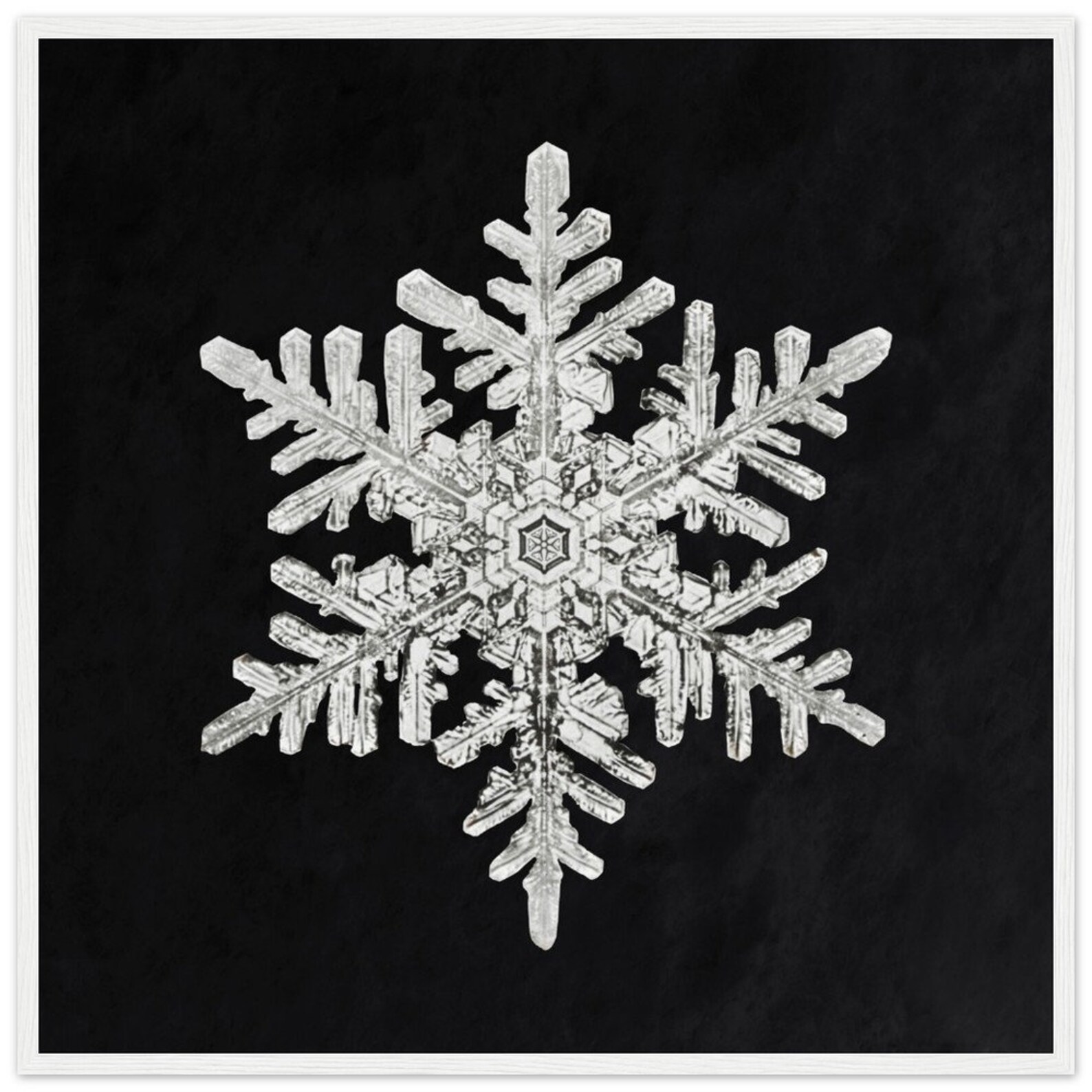 Snowflake Vintage 19th Century Photograph Photo Reproduction Art ...