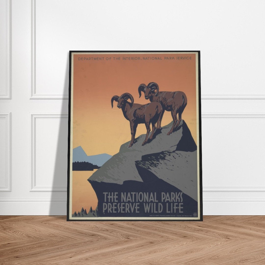 National Parks Preserve Wildlife Sheep Animals America USA Vintage ...