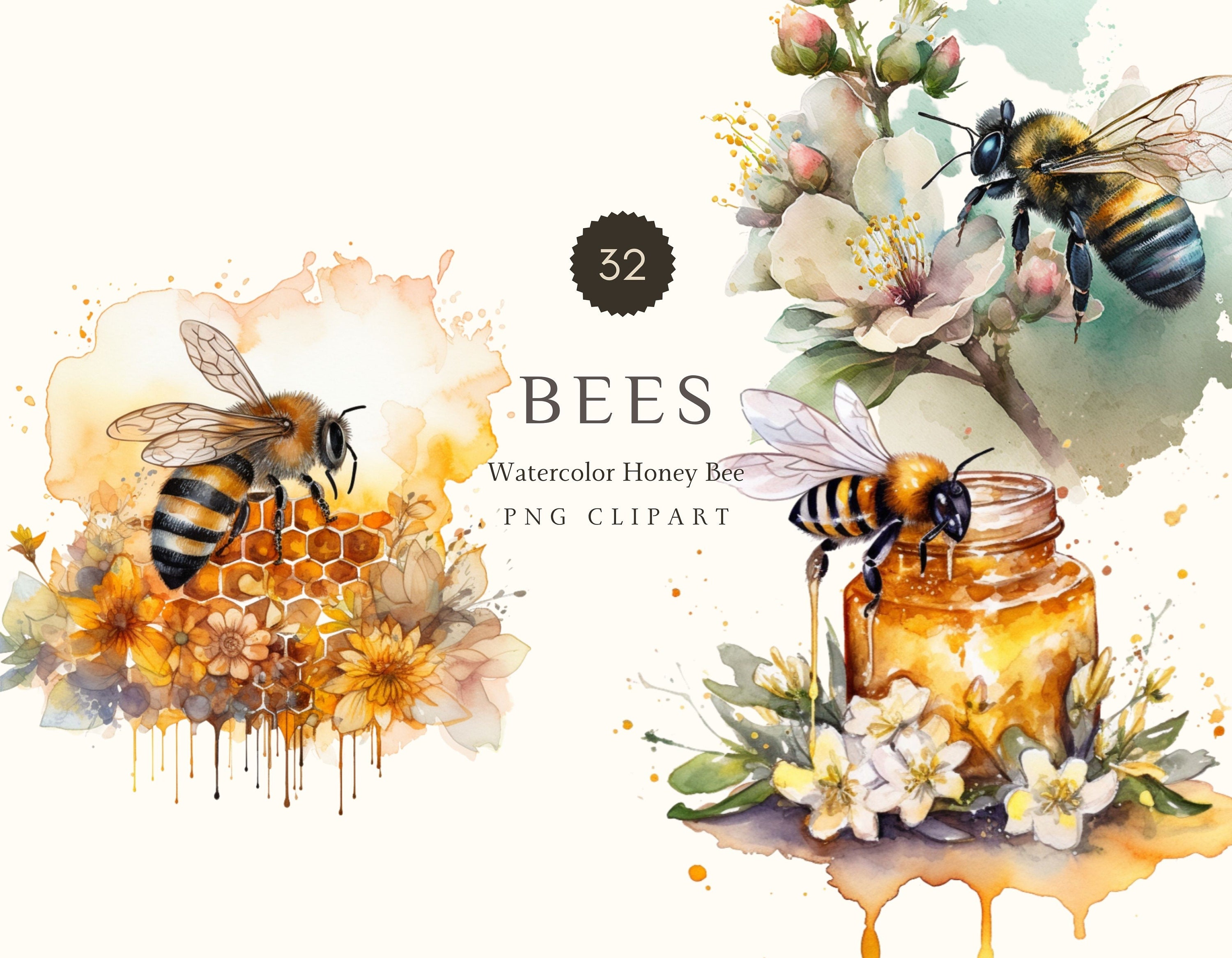 Watercolor Honey Bee Clipart | Spring Garden Bee | Honey Drips Clip Art ...