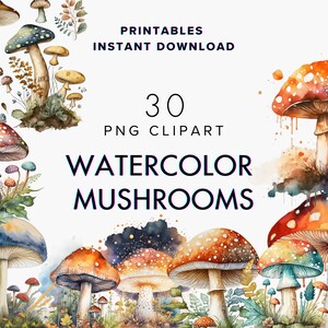 30 Pcs of Mushroom Watercolor Clipart, Watercolor Forest and Fantasy ...