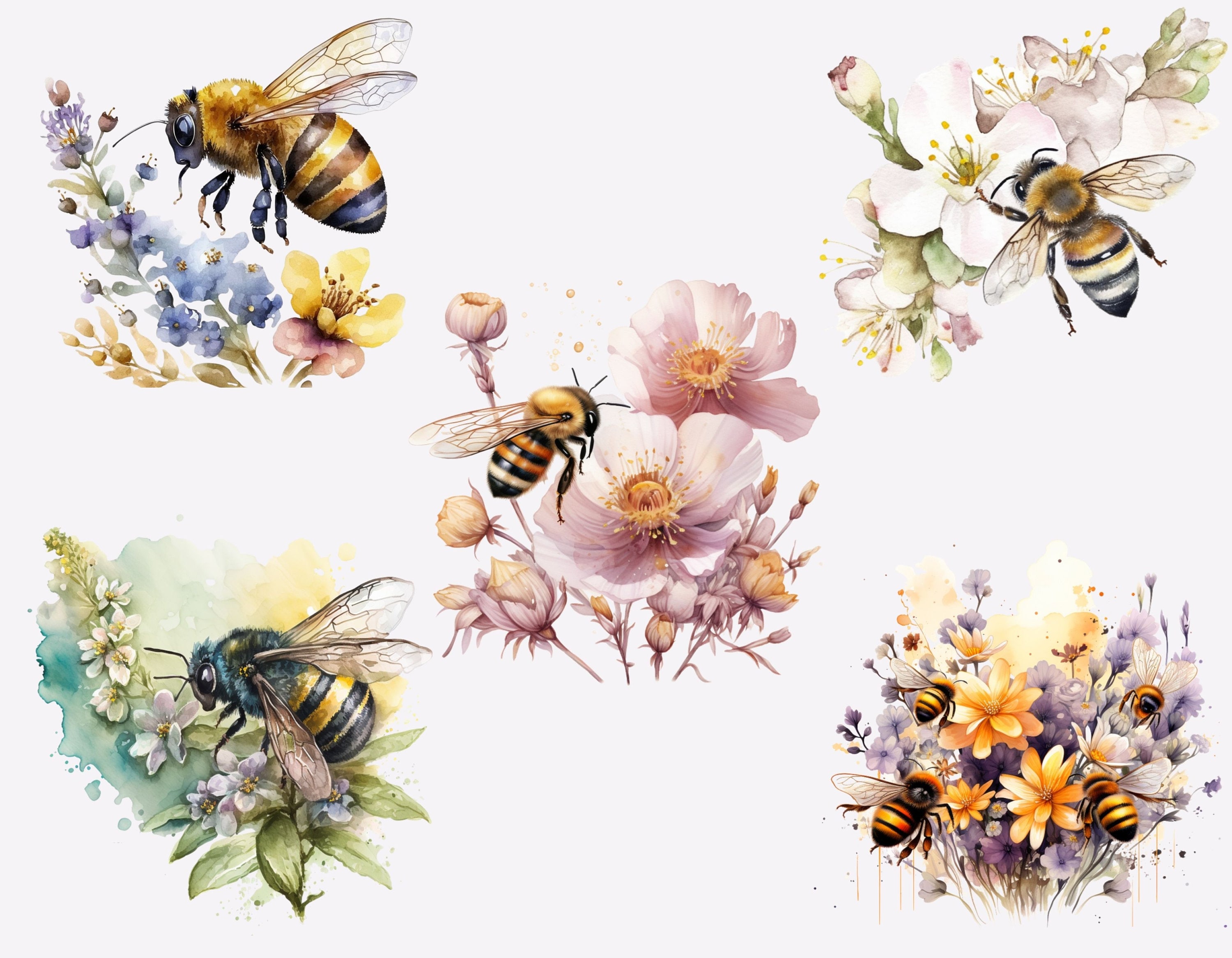 Watercolor Honey Bee Clipart Spring Garden Bee Honey Drips Clip Art PNG ...