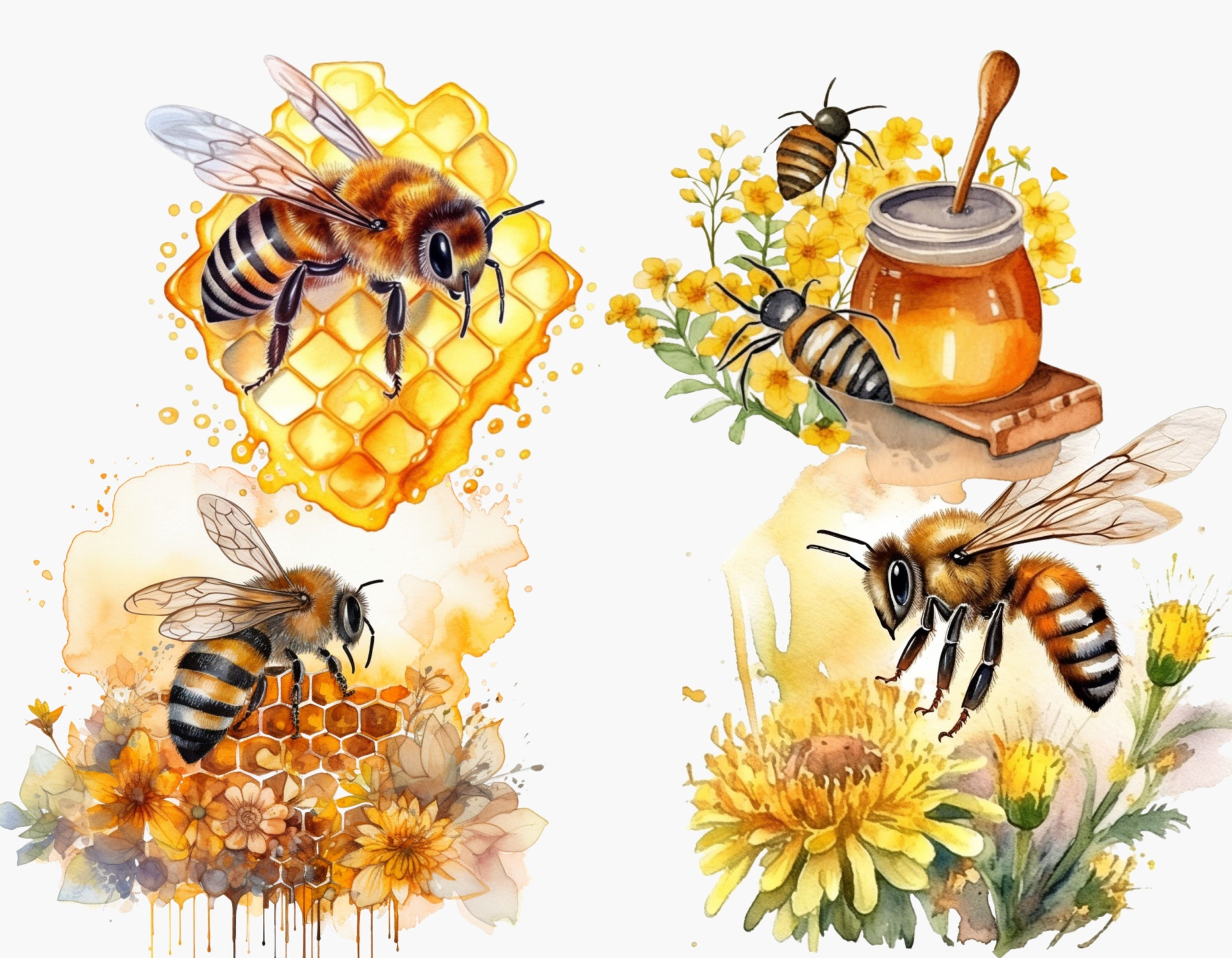 Watercolor Honey Bee Clipart | Spring Garden Bee | Honey Drips Clip Art ...
