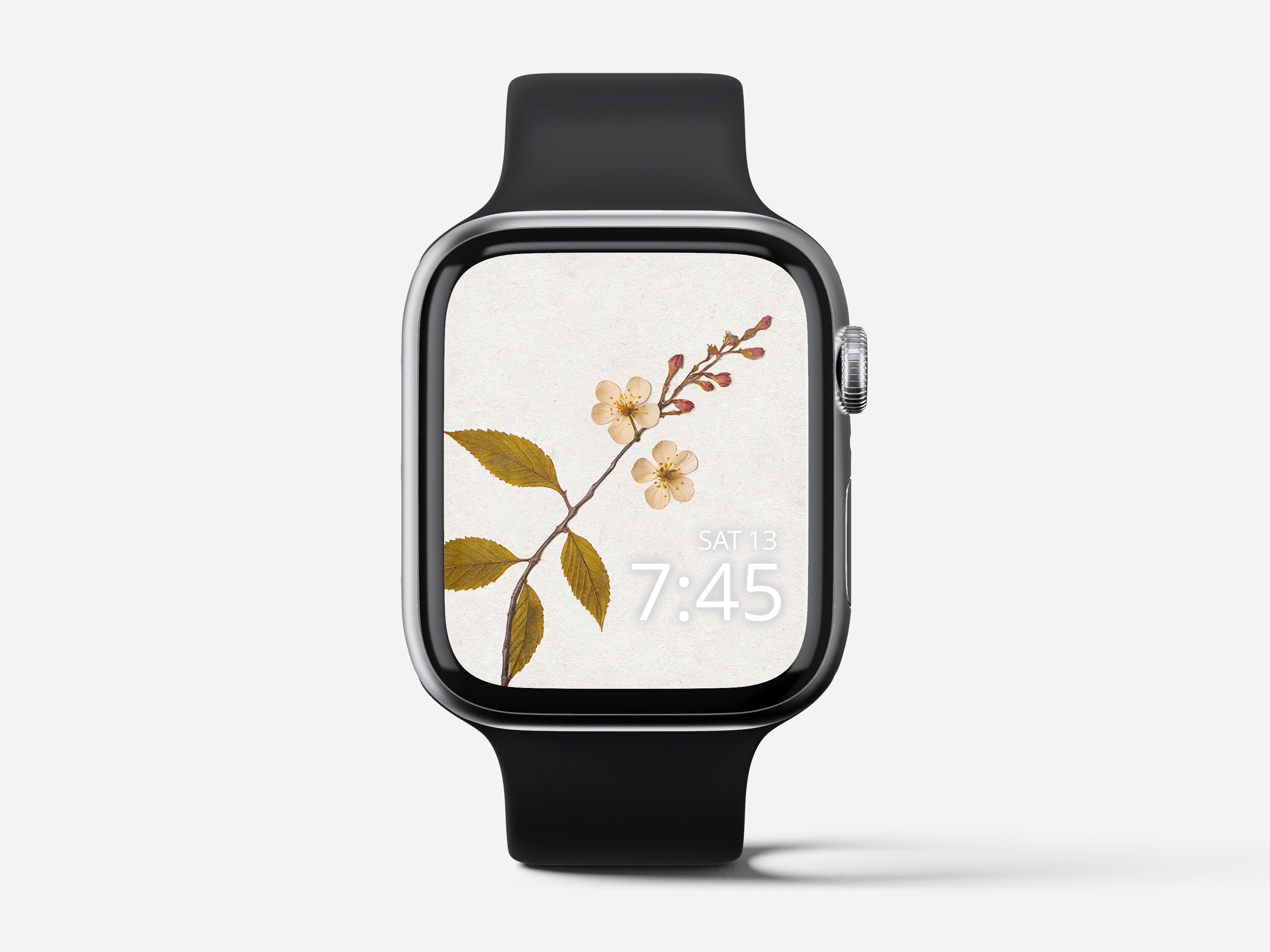 Pressed Flower Apple Watch Wallpaper, Dried Flower Watch Face, Dry ...