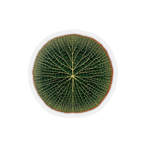 Lily Pad Sticker - Etsy