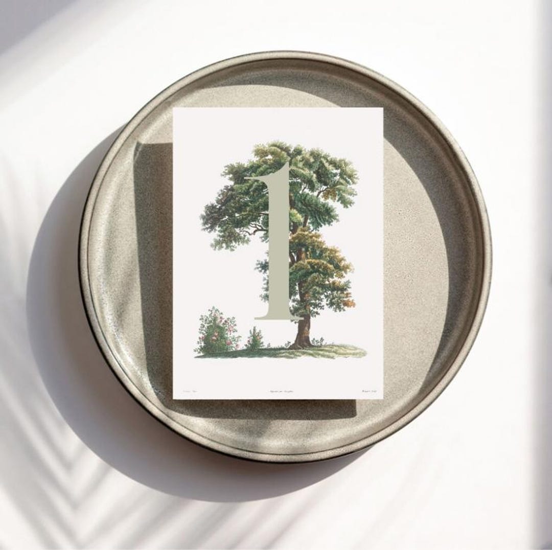 Oak Tree Table Numbers | Instant Download, Canva Template, Printable ...