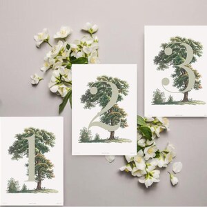 Oak Tree Table Numbers | Wedding Canva Template (instant Download) - Etsy