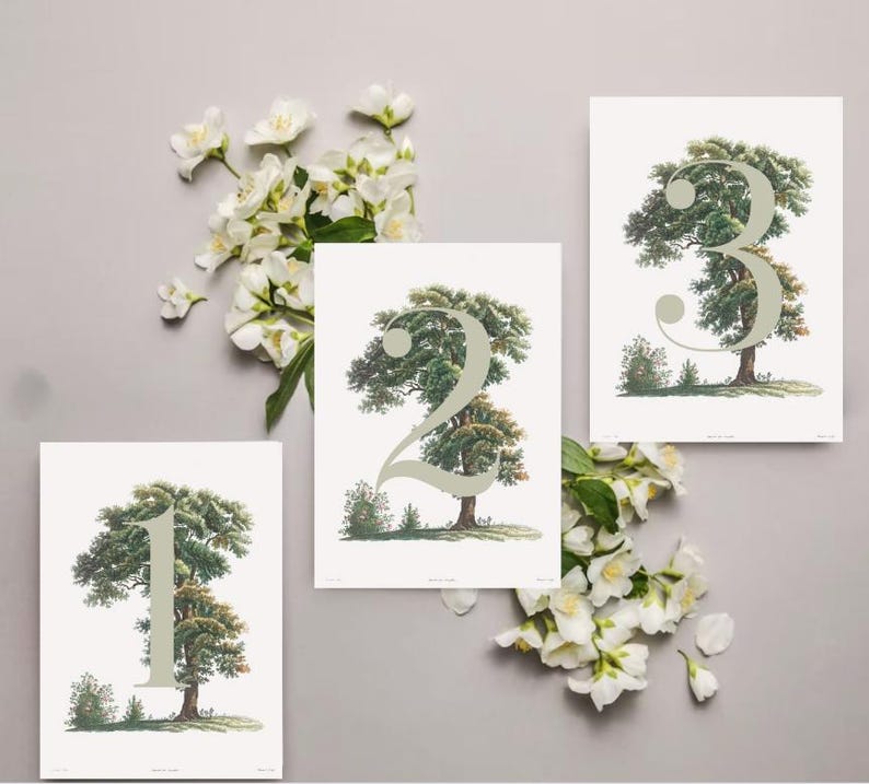 Oak Tree Table Numbers | Instant Download, Canva Template, Printable ...