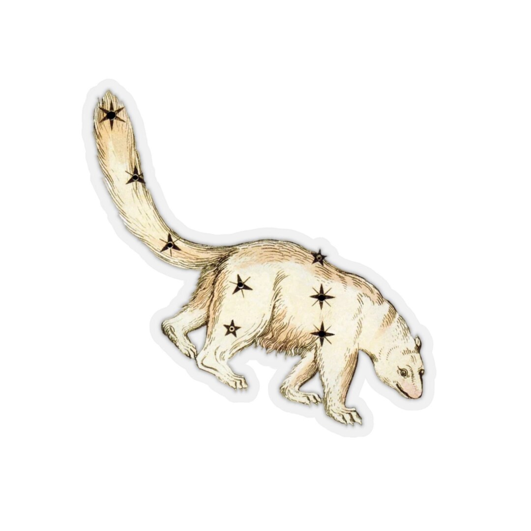 Ursa Minor Sticker Clear Sticker Laptop Sticker Journal - Etsy