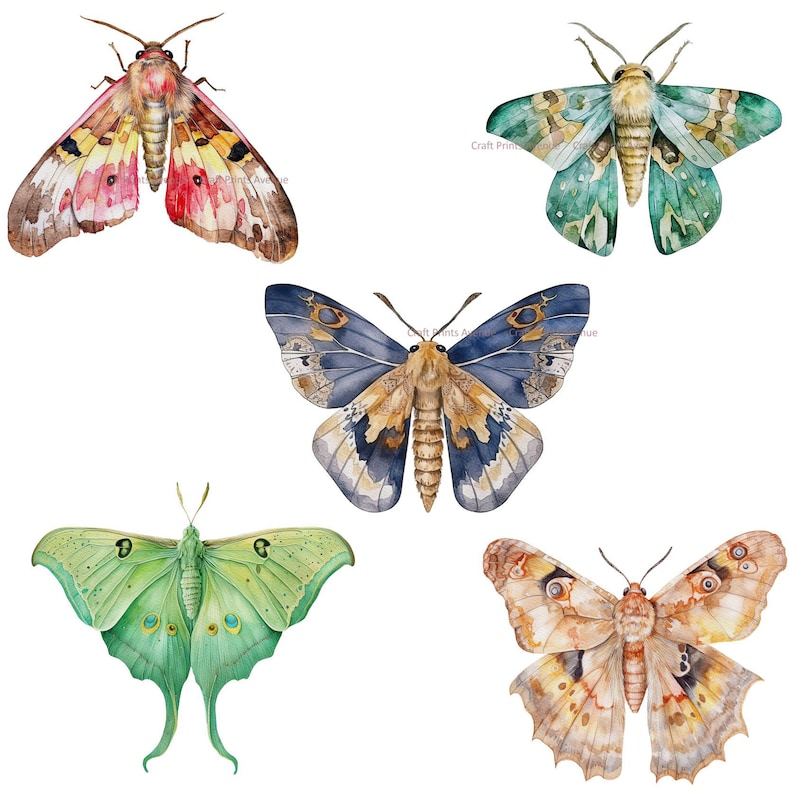 Moth Clip Art PNG Digital Clipart, Butterfly Watercolor Clipart ...